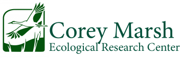 Corey Marsh Ecological Research Center (CMERC) Summer Undergraduate ...